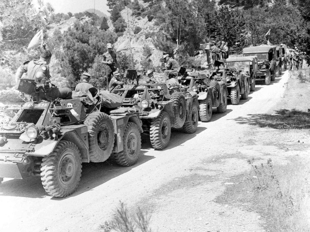 Ferret - The African Queen Project