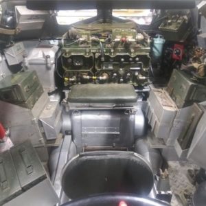 Ferret - The African Queen Project