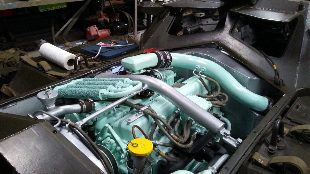 Ferret - The African Queen Project