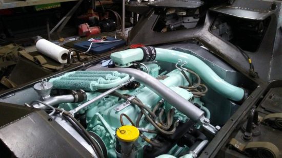 Ferret - The African Queen Project